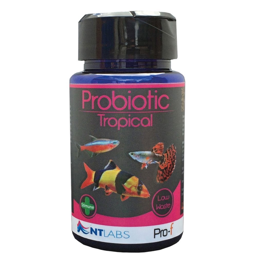 NT Labs Pro-F Probiotic Tropical 45g: Amazon.co.uk: Pet Supplies