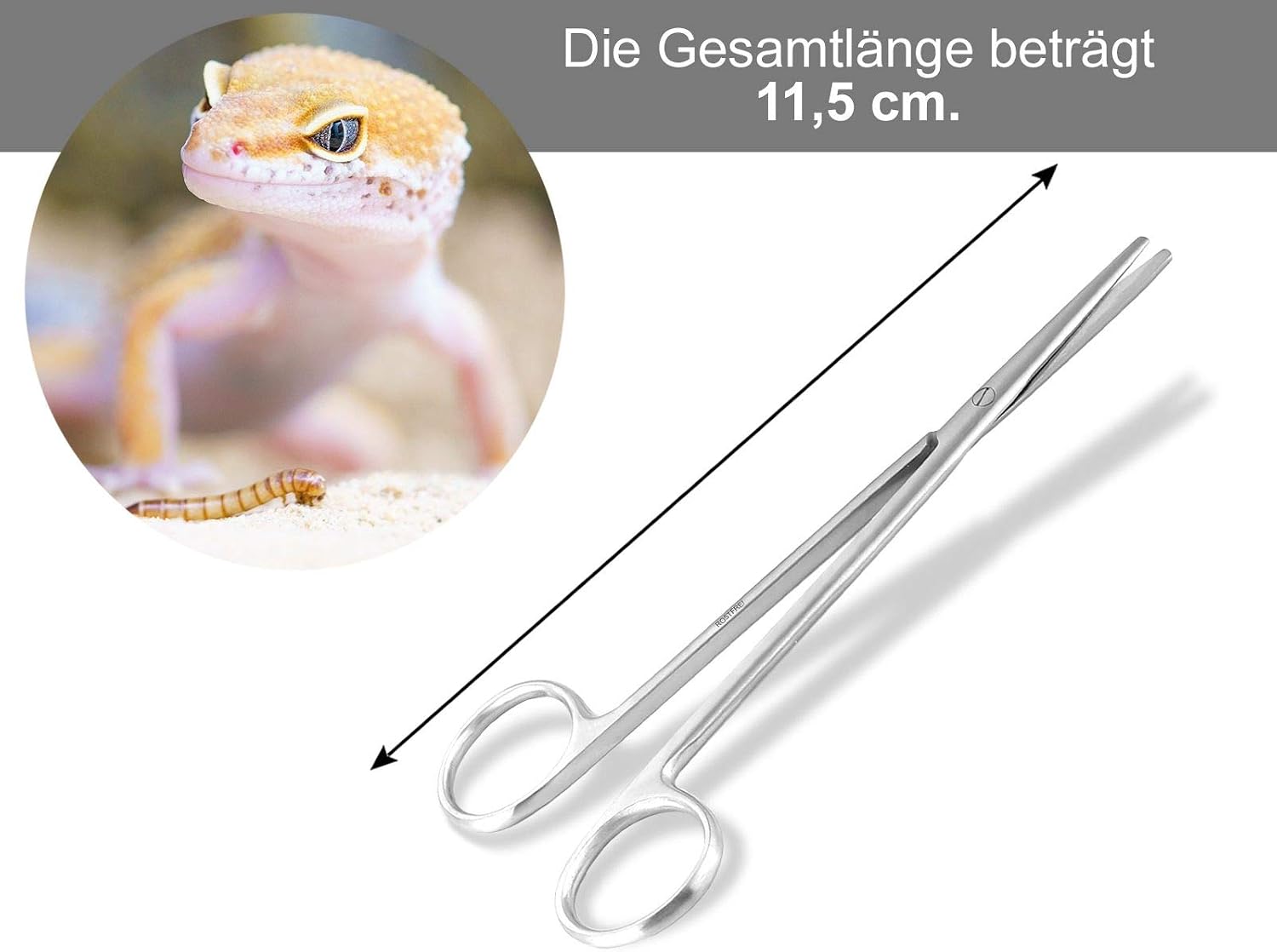 Professional Aquarium Terrarium Plant Scissors Stainless Steel Straight ...
