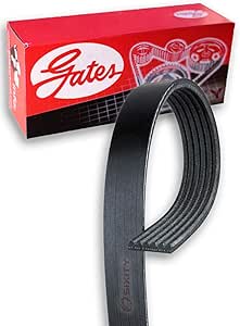 Amazon.com: Gates Serpentine Belt for 2011-2016 Ford Explorer 3.5L V6 ...