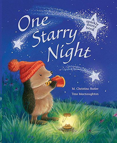One Starry Night: A Sparkly Starry Book: Butler, M.: 9781561487684 ...