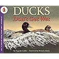Amazon.com: Ducks Don't Get Wet: Goldin, Augusta, Davie, Helen K.: Books