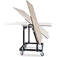 Rockler Material Mate Panel Cart and Shop Stand – Mobile Base Stand ...