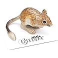 Amazon.com: Little Critterz Bronze Rodent Kangaroo Rat Fresno - Home ...