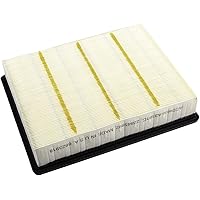 Amazon.com: ACDelco GM Original Equipment A3218C Air Filter : Automotive