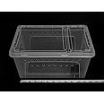 Amazon.com : Large Clear Stackable Invertebrate & Reptile Keeper Box ...