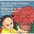 Amazon.com: The Miracle of the First Poinsettia: A Mexican Christmas ...