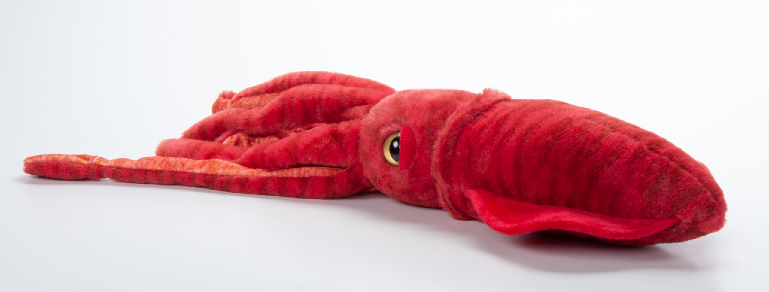 The Petting Zoo Squid Stuffed Animal Plushie, Gifts For Kids, Wild Onez ...