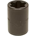 Amazon.com: Lisle 83210 EP24 Torx Plus Socket : Tools & Home Improvement