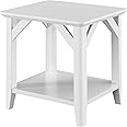 Amazon.com: Convenience Concepts Winston End Table with Shelf, White ...