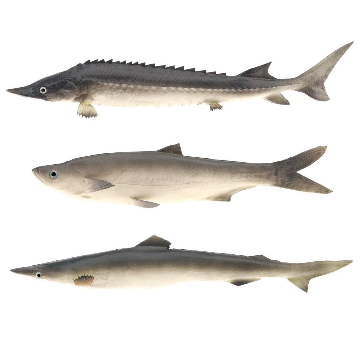 Gresorth 3 PCS Sea Creatures Fake Shark Artificial Chinese Sturgeon ...