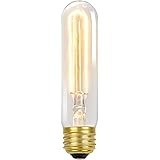 Globe Electric 60W Vintage Edison G30 Vanity Tungsten Incandescent ...