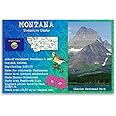 Amazon.com : MONTANA STATE MAP postcard set of 20 identical postcards ...