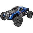 Redcat Racing Blackout XTE PRO 1/10 Scale Brushless Electric Monster ...