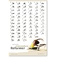 STOTT PILATES Wall Chart - Intermediate Reformer, Fitness Planners ...