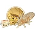 Amazon.com: Giant Microbes Louse Plush – Learn About Lice and How to ...
