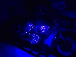 Amazon.com: Blue LED Neon Motorcycle Lighting Kit: Automotive