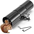 Amazon.com : Qualirey Tube Squirrel Trap Rust Resistant Trap 4.5'' in ...