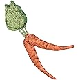 Amazon.com: Two Carrots Embroidered Iron on Patch