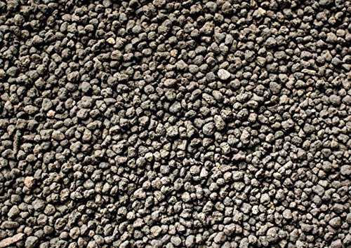 Best Planted Aquarium Substrate: Comprehensive Review Guide