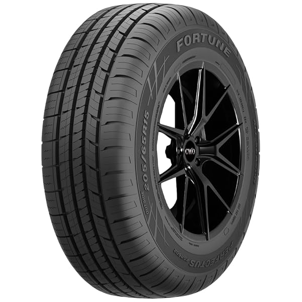 GuatemalaDigital.com - Producto: Fortune Perfectus FSR602 185/65R15 ...