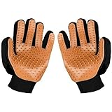 Amazon.com : Gold Foil Thank You Note Card Pack - Set of 50 cards ...