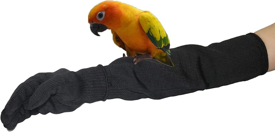 Bird Training Anti-Bite Gloves, Level 5 Protection, Parrot Chewing ...