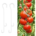 Amazon.com : KINGLAKE 100 Pcs Tomato Support Clips Tomato Vegetable ...