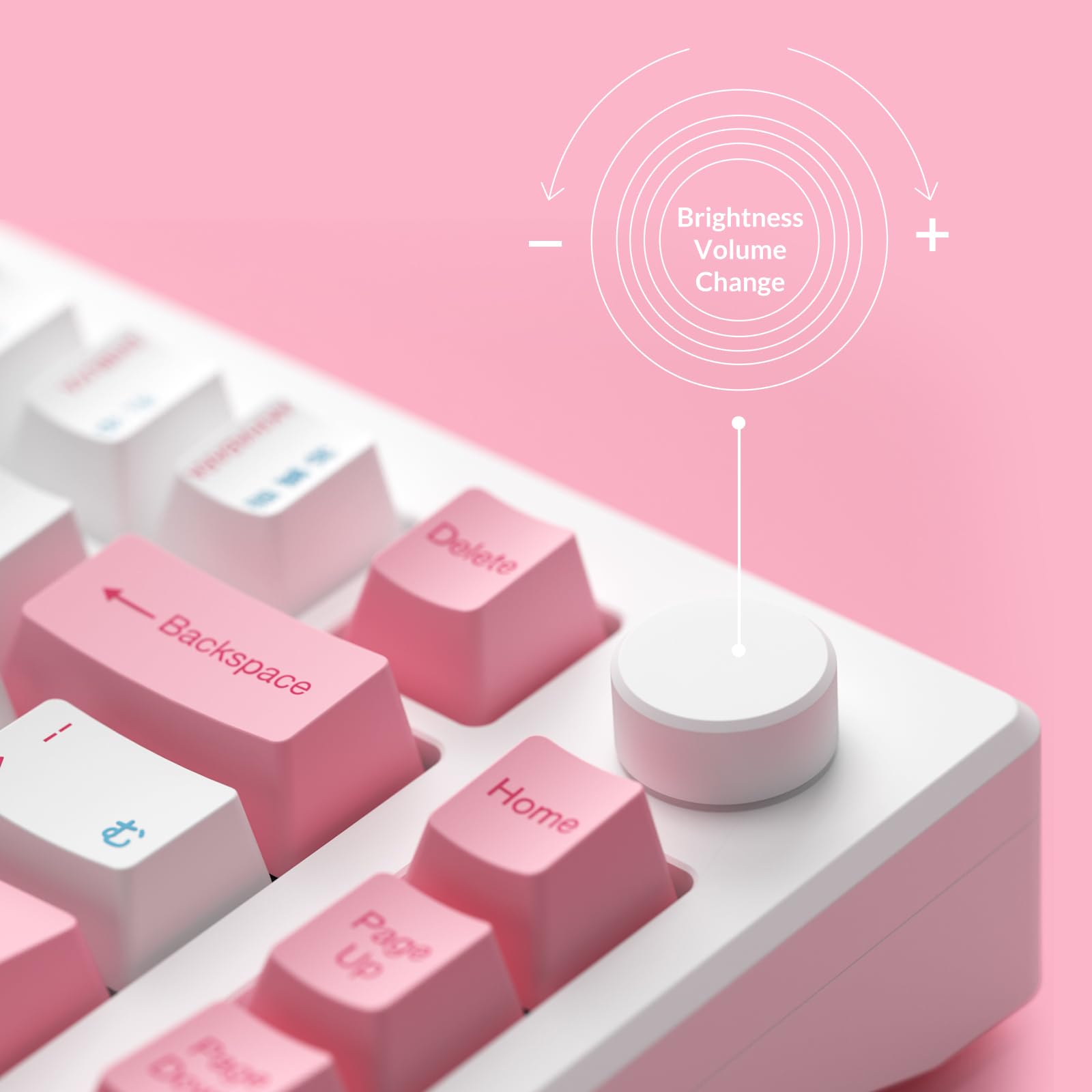 Mua Akko Magnetic Switches Rapid Trigger Gaming Keyboard, MOD007B HE PC ...