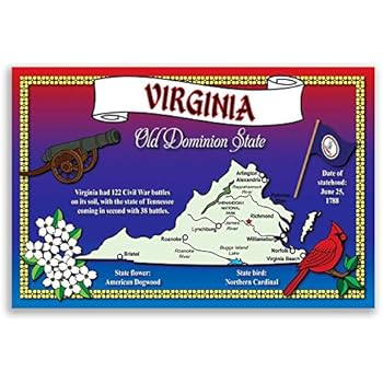 Amazon.com : VIRGINIA STATE FACTS postcard set of 20 identical ...