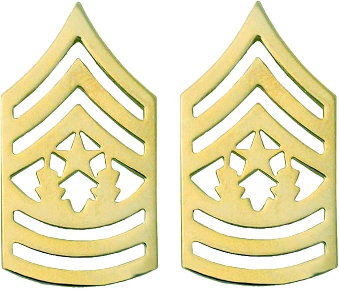 Amazon.com: CSM Command Sergeant Major Gold Pin-On Rank - Pair: Clothing