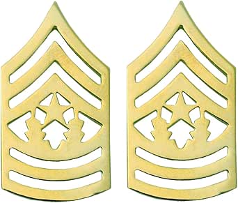 Amazon.com: CSM Command Sergeant Major Gold Pin-On Rank - Pair: Clothing