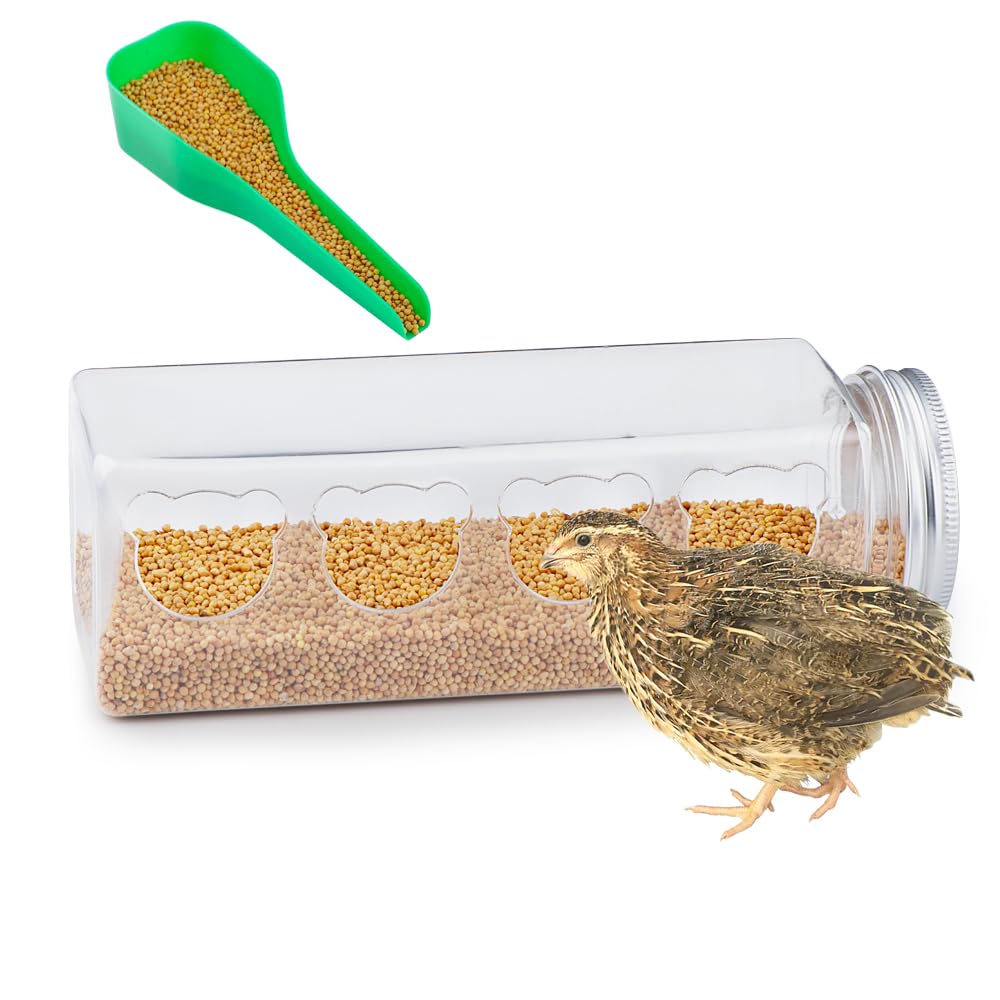 Quail Transparent Feeder Rutin Chicken Feed Box Chick Small Bird Seed ...
