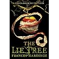 Amazon.com: The Lie Tree: A Novel: 9781419726415: Hardinge, Frances: Books