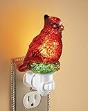 Stained Glass Red Cardinal Bird Night Light - - Amazon.com