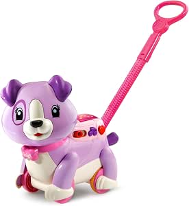 Amazon.com: LeapFrog Step and Learn Violet : Everything Else