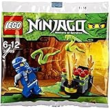 LEGO 30082 Ninjago - Entrenamiento Ninja: Amazon.es: Juguetes y juegos
