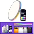 1 Pack 12 Inch RGB LED Flush Mount Smart Ceiling Light with Night Light ...