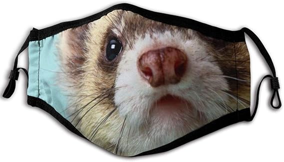 Alphabetical Ferret mask Cloth Face Masks Cotton Headwear Balaclava ...