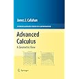Advanced Calculus: A Geometric View (Undergraduate Texts in Mathematics ...