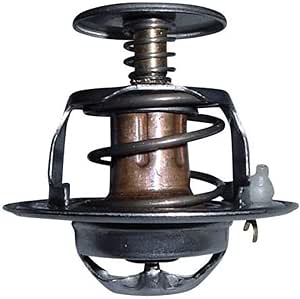 Amazon.com: Complete Tractor New 1106-6002 Thermostat Compatible with ...