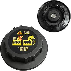 Amazon.com: Radiator Coolant Recovery Tank Cap Degas Cap FIT FOR 6.0L ...