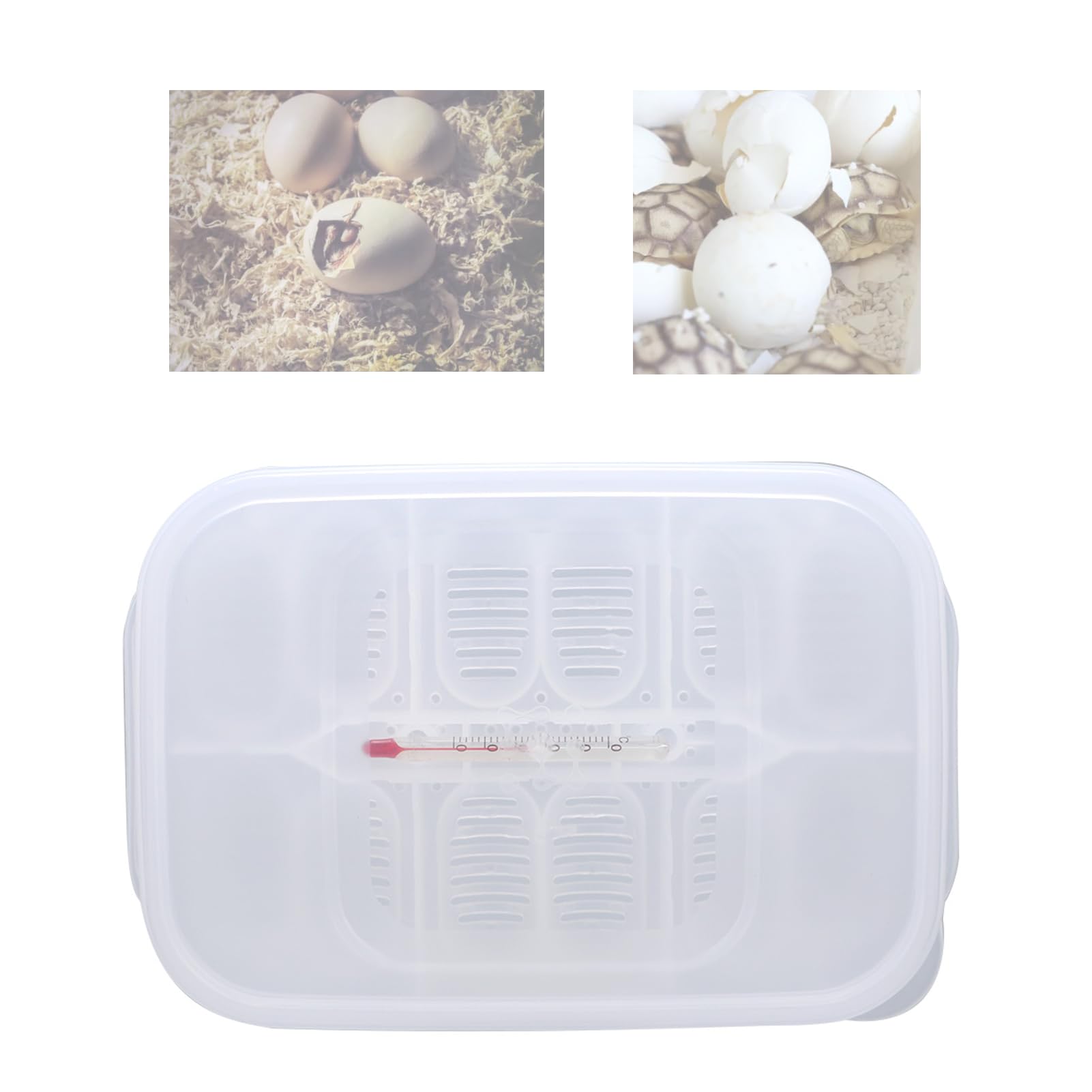 Mua Reptile Breeding Box,16.5x11x5.2cm Reptile Hatchery Box Reptile ...