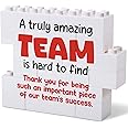 Amazon.com: Team Gifts for Employees, Employee Appreciation Gifts Bulk ...