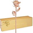 Amazon.com: Forever Rose Real Rose Gold Rose, Genuine One of a Kind ...