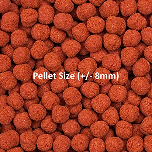 Ocean Nutrition Formula One Pellets 2.2-Pounds (1 Kilogram) Bag - Extra ...