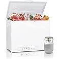 Amazon.com: Smad Propane Freezer 2-Way 110 Volts & LP Gas Chest Freezer ...