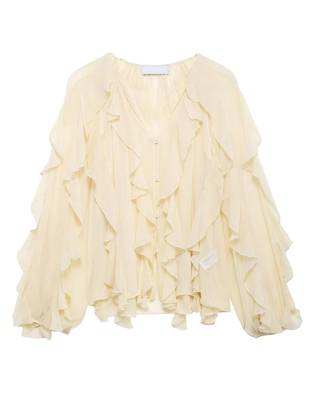 Shiyifa Womens Sheer Ruffle Blouse V Neck See Through Chiffon Ruffled ...