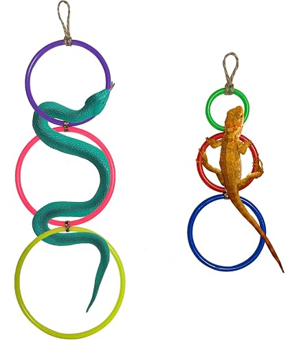 Snake Hook Python Playground / Snake Clmbng Enrchment / Snake Clmber ...