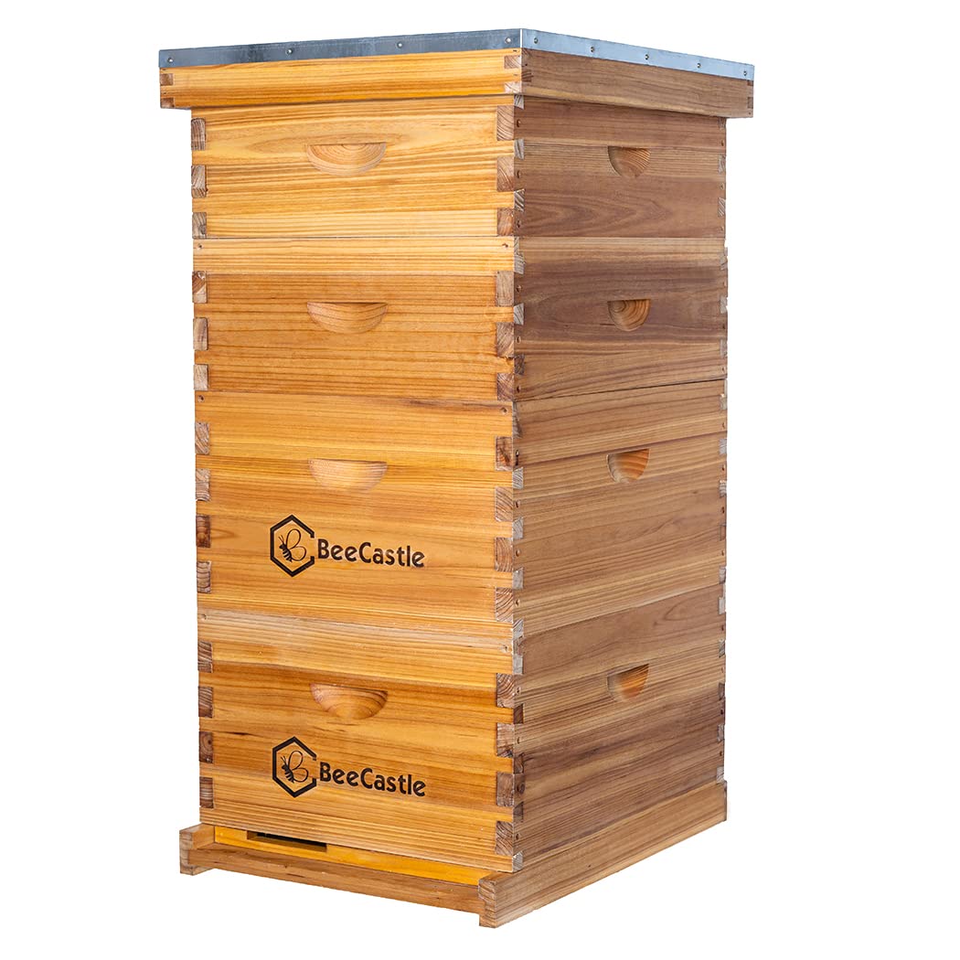 Mua BeeCastle 10 Frame Langstroth Bee Hive Coated with 100% Beeswax ...