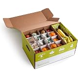 Amazon.com : Branch to Box Jumbo Fruit & Snack Box : Grocery & Gourmet Food